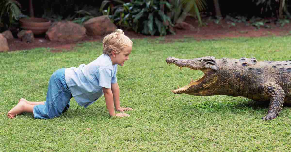 6 Techniques For Attacking Animals With Children | Cracked.com
