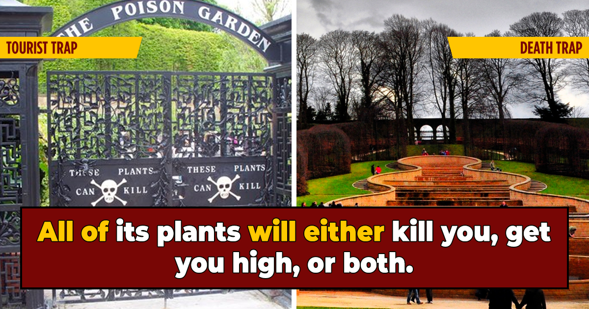 Take A Toxic Tour Through England's Poison Garden | Cracked.com