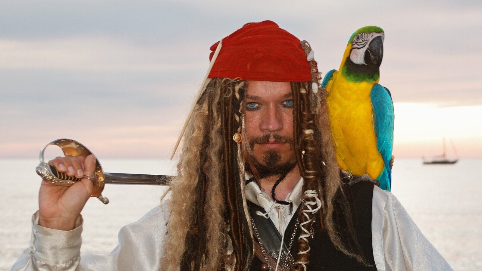 How Did Pirates and Parrots Become Synonymous in the First Place ...