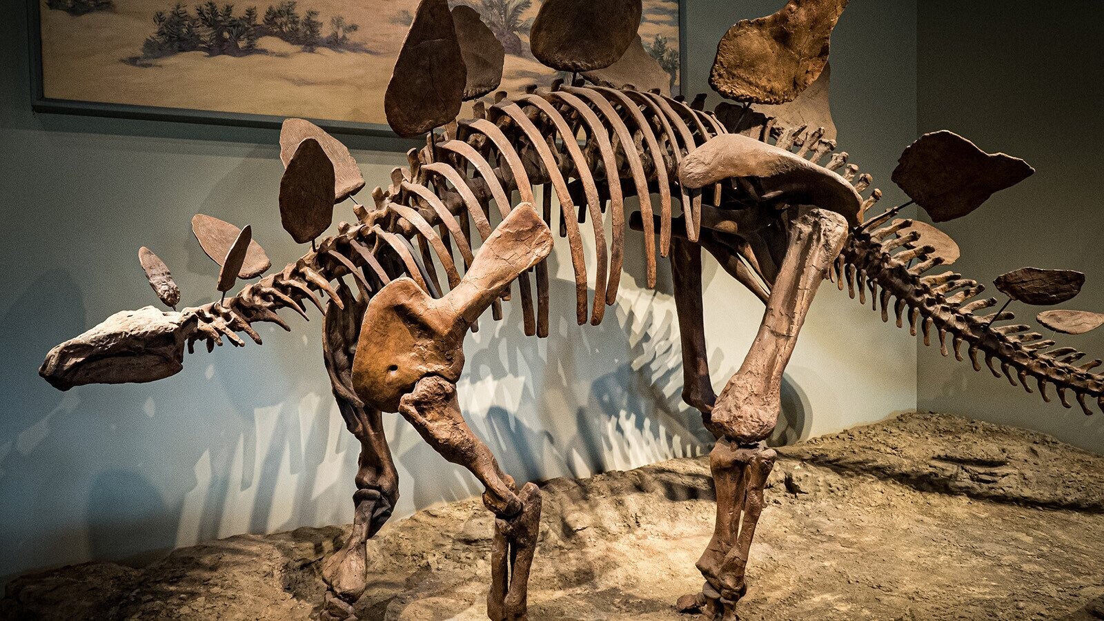 The Part of Dinosaur Anatomy That Owes Its Official Name to ‘The Far ...