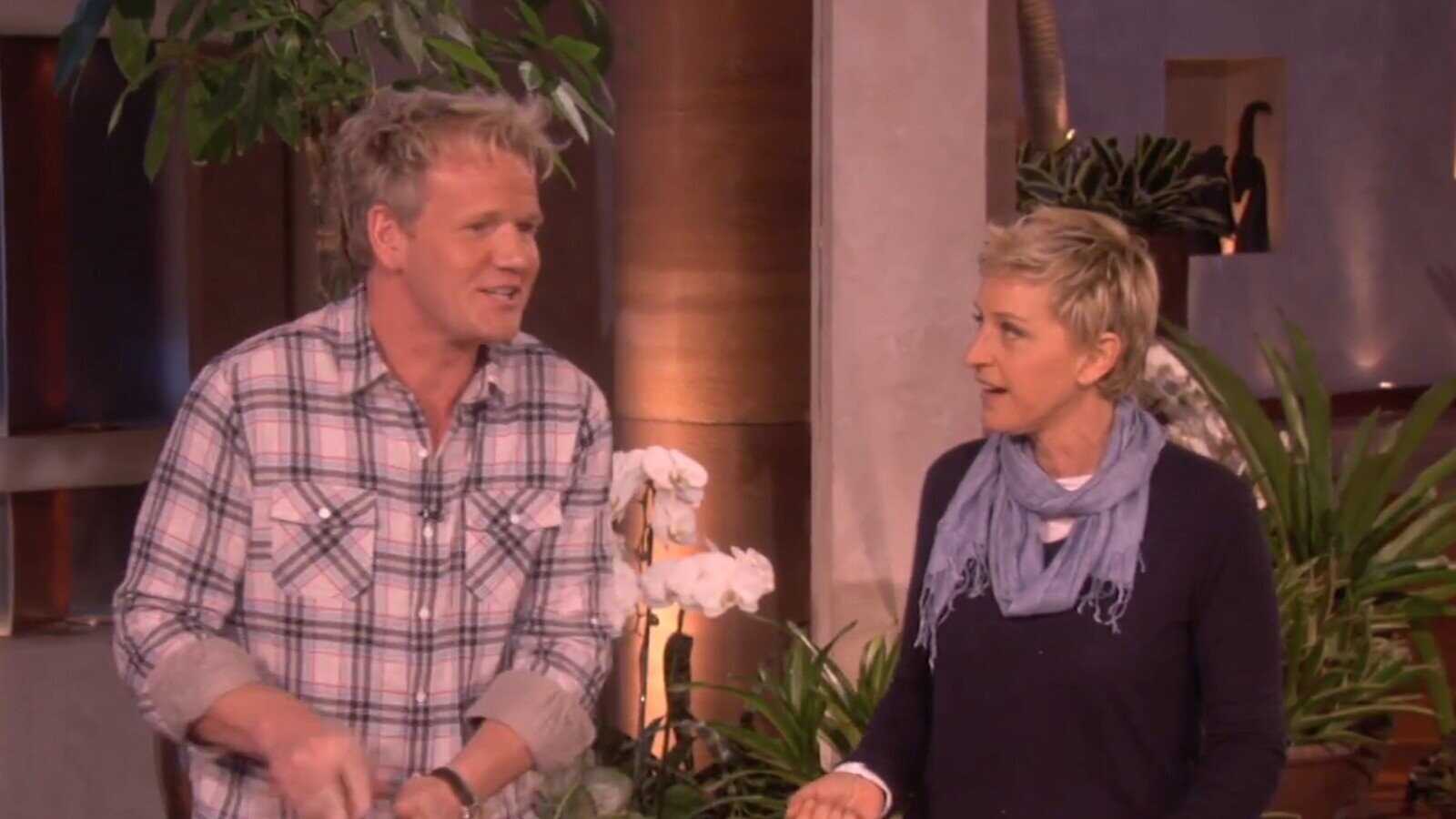 Ellen DeGeneres Reportedly Banned Gordon Ramsay From Her Show After He ...