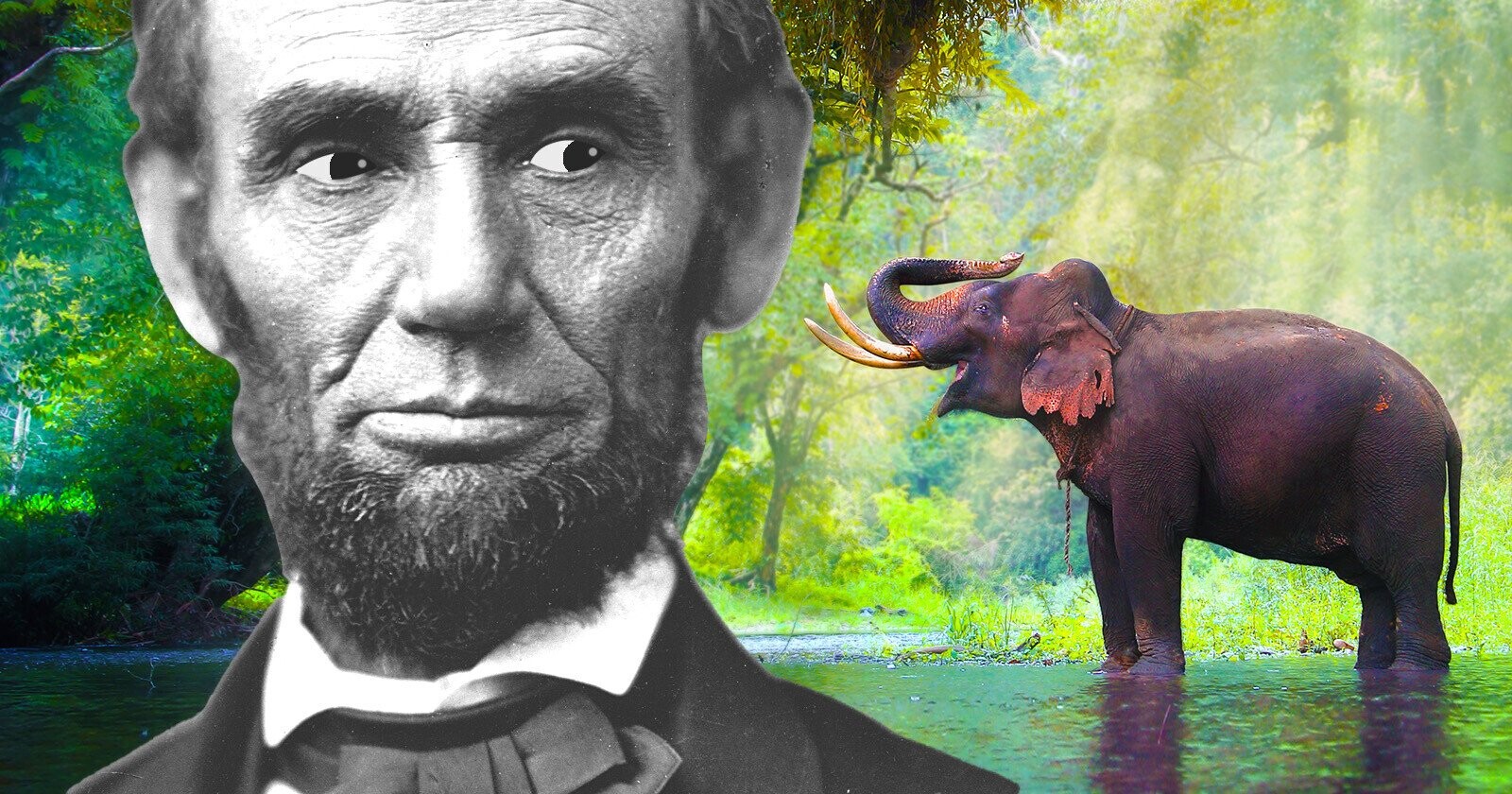 3 Small, Random Decisions That Shaped America in Insane Ways | Cracked.com