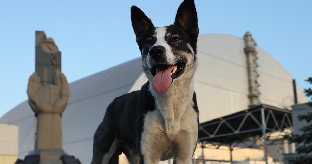 5 Historical Tragedies That Were Even Darker Than You Think | Cracked.com