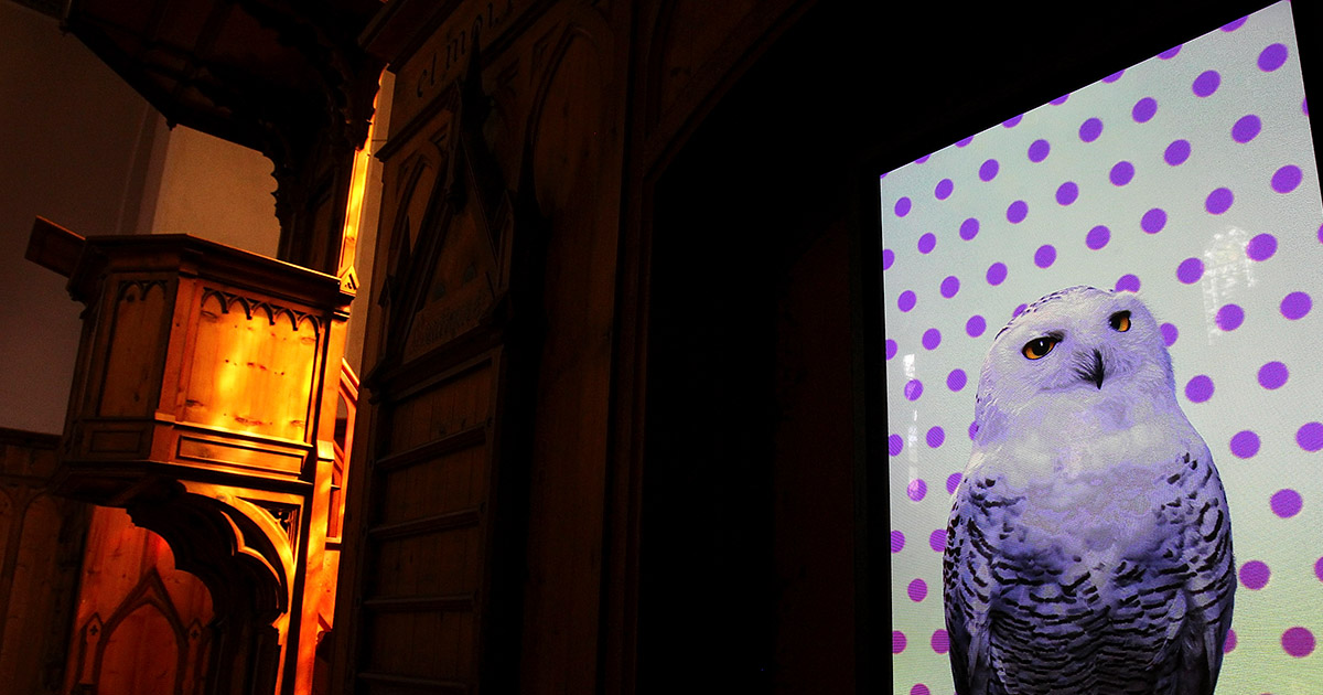 5 Photos Of Nature (That Are Scarier Than Any Horror Movie) | Cracked.com