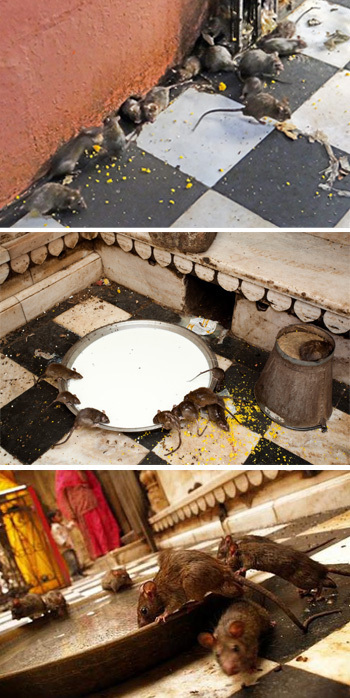 6 Creepy Religious Sites Way Worse Than the Temple of Doom | Cracked.com
