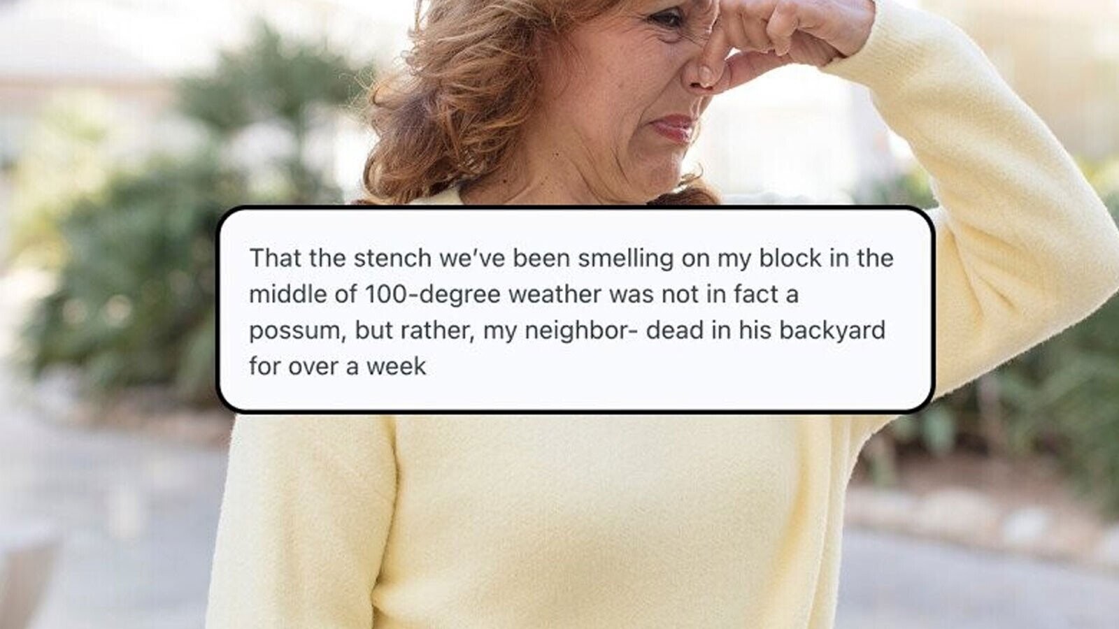 30 Times People Learned That Ignorance May Really Be Bliss | Cracked.com