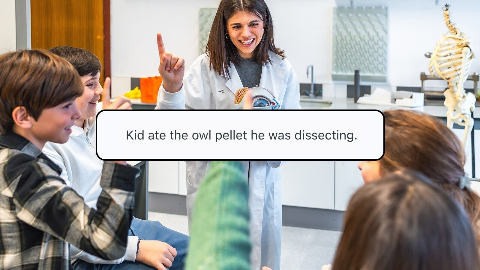 20 of the Wildest Things People Ever Saw in a Classroom | Cracked.com