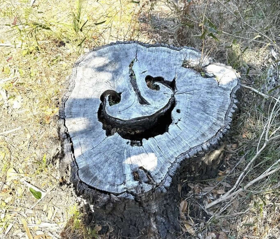 18 Random Objects That Really Look Like Something Else | Cracked.com
