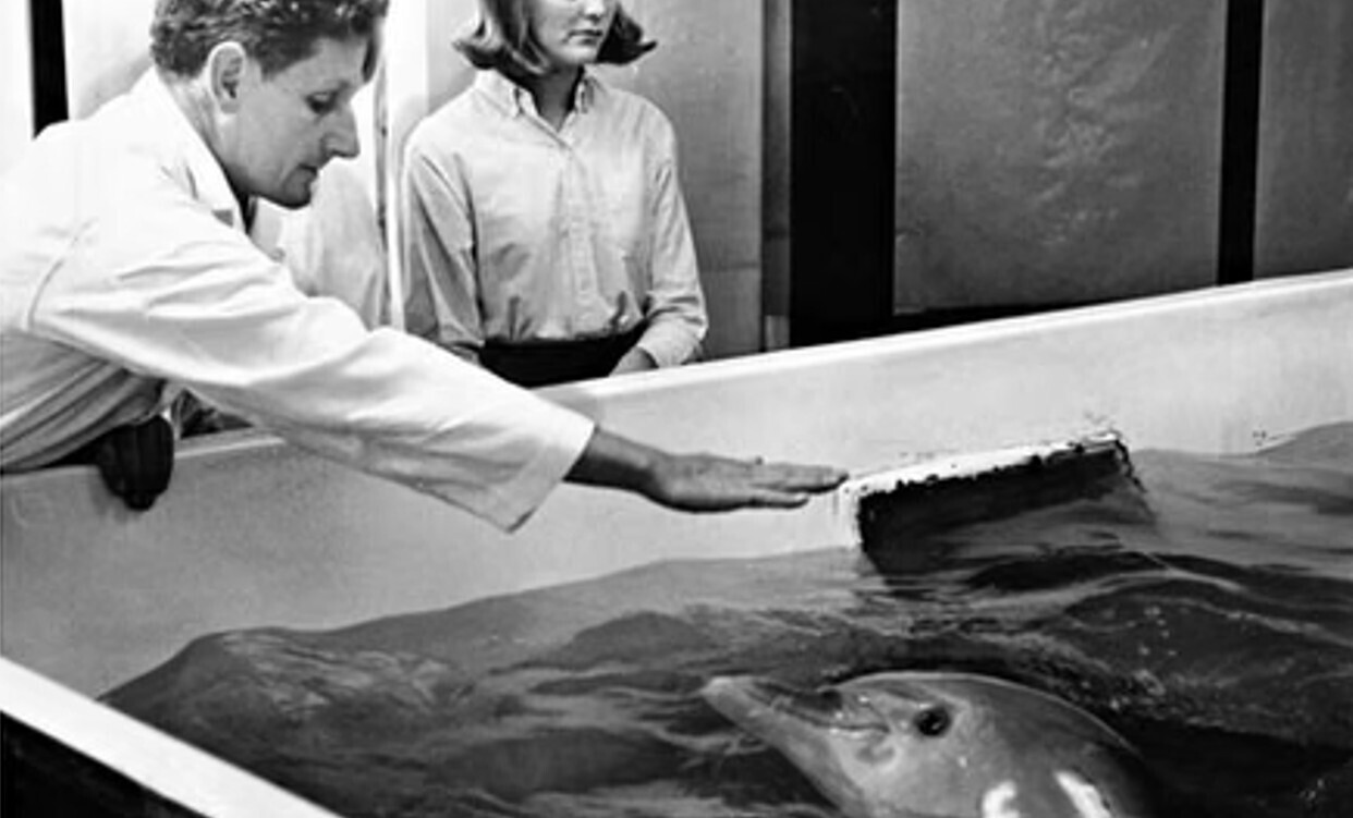 Historical Moments People Seem to Want to Forget | Cracked.com