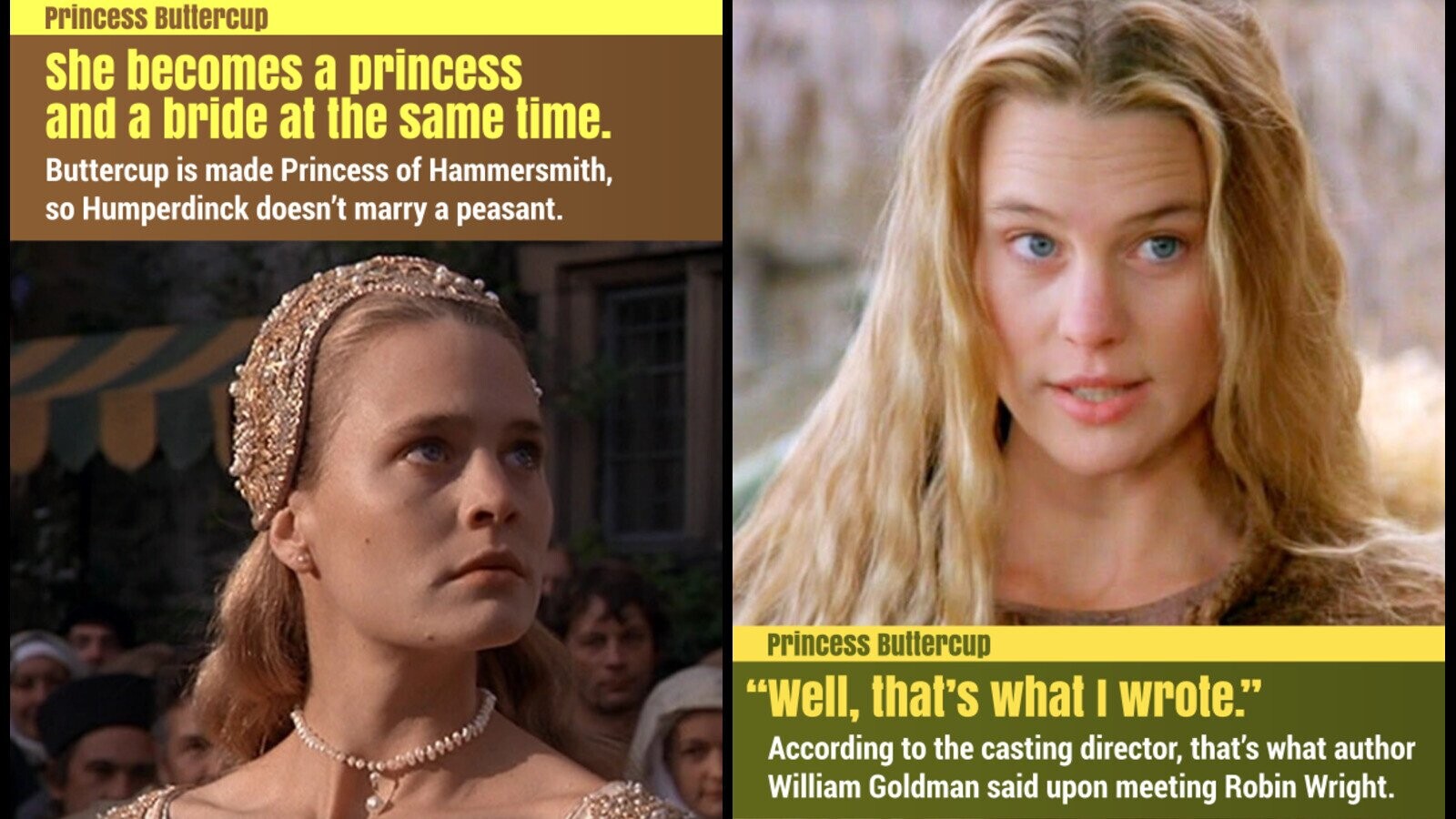 15 Trivia Tidbits About Princess Buttercup from 'The Princess Bride ...