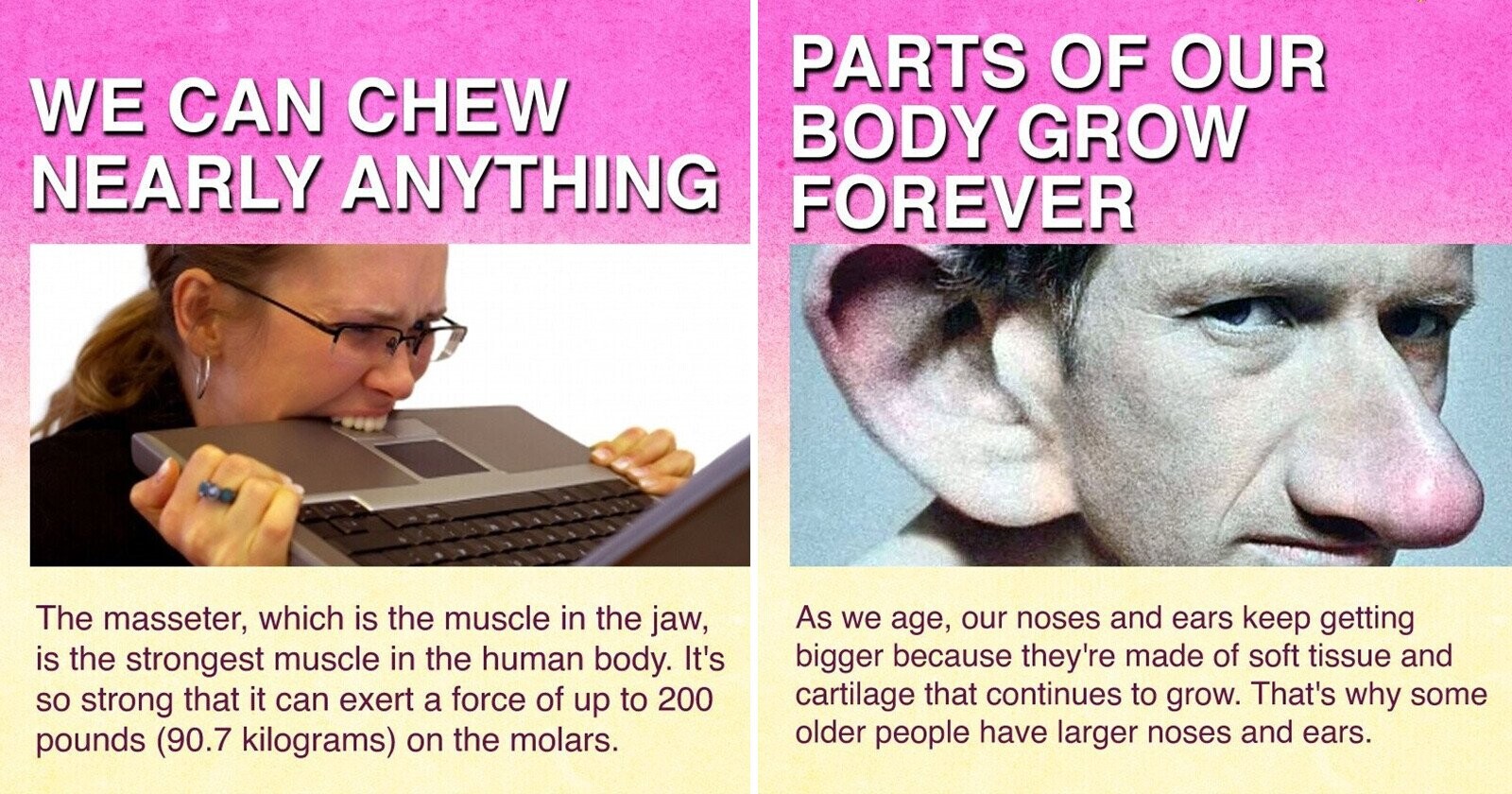 14 Bizarre Body Facts That Prove We Know Nothing About Our Flesh ...