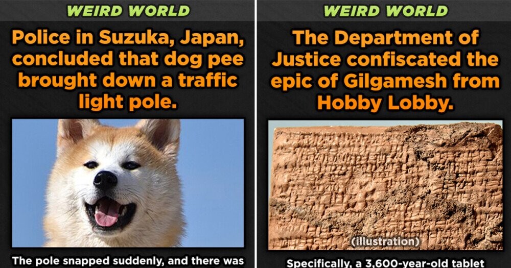 Weird World: 12 Bizarre Events That, Against All Odds, Are Real ...