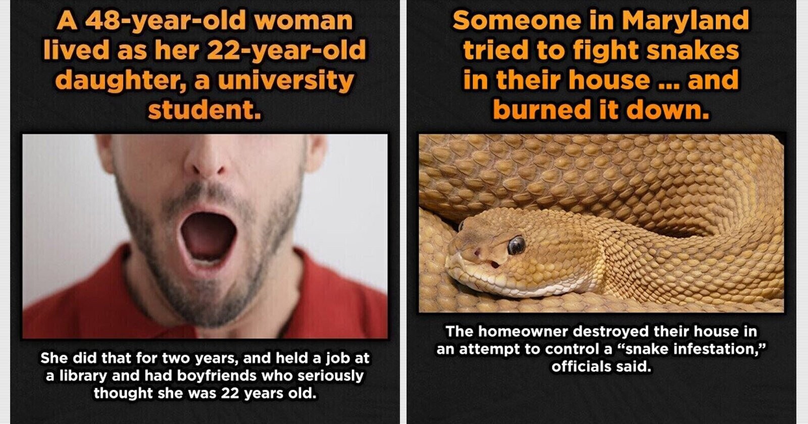 40 Bizarre Headlines That Are Real Head-Scratchers | Cracked.com