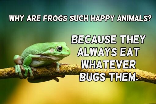 15 Jokes That Don't Need to Be Complicated to Be Funny | Cracked.com