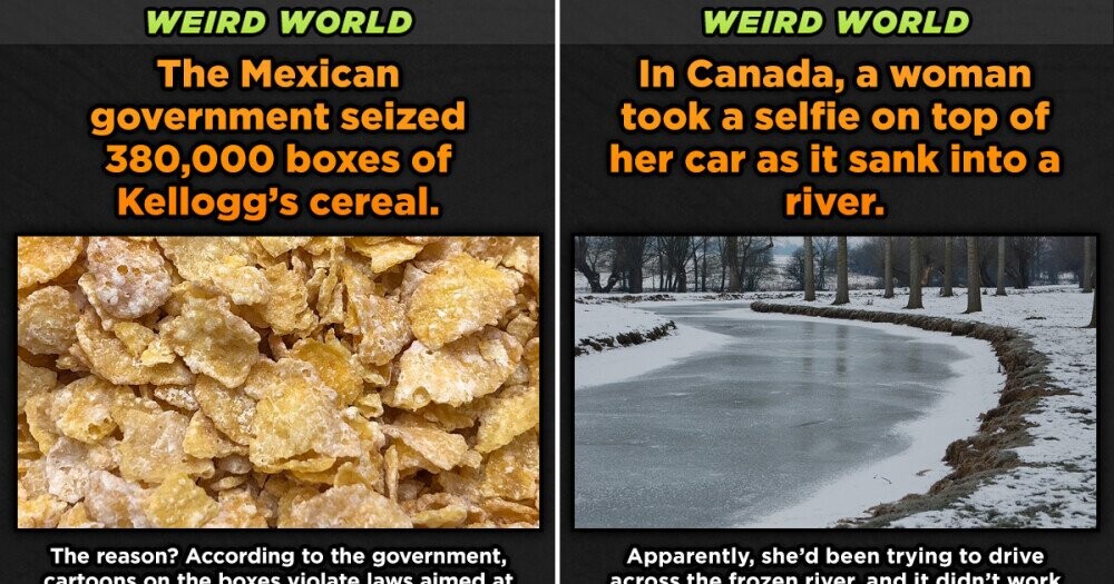 Weird World: 12 Ding-Dong Things That Caught Us All By Surprise ...