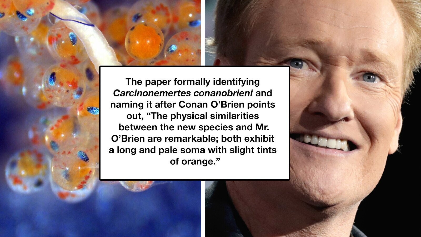 15 Big-Time Scientific Burns | Cracked.com