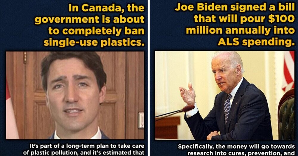 26 Pieces of Good News Improved Our Day a Little | Cracked.com