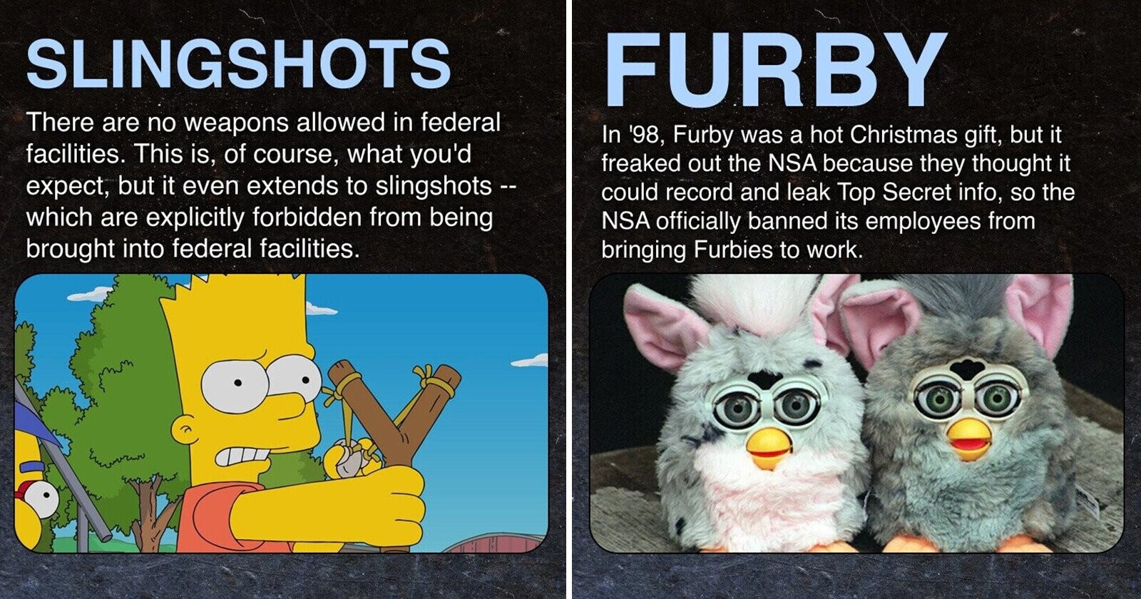 15 Harmless Things That The US Government Absolutely Freaked Out About ...