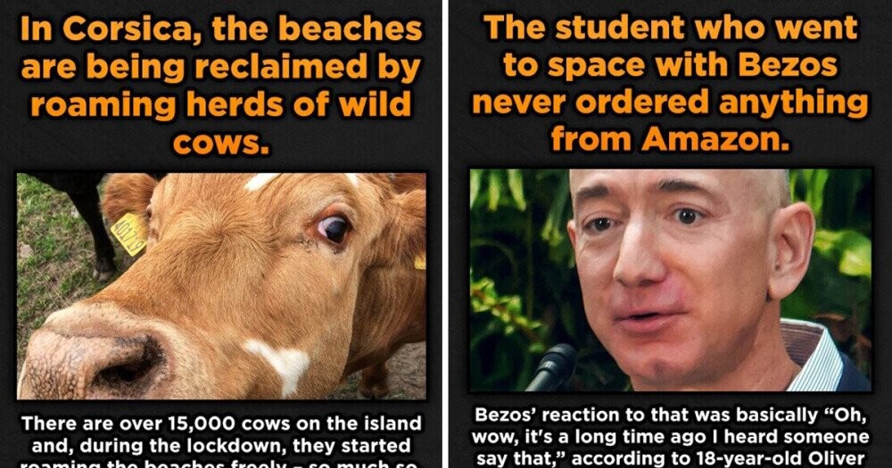 24 Weird Events The News Definitely Didn't Cover Enough | Cracked.com