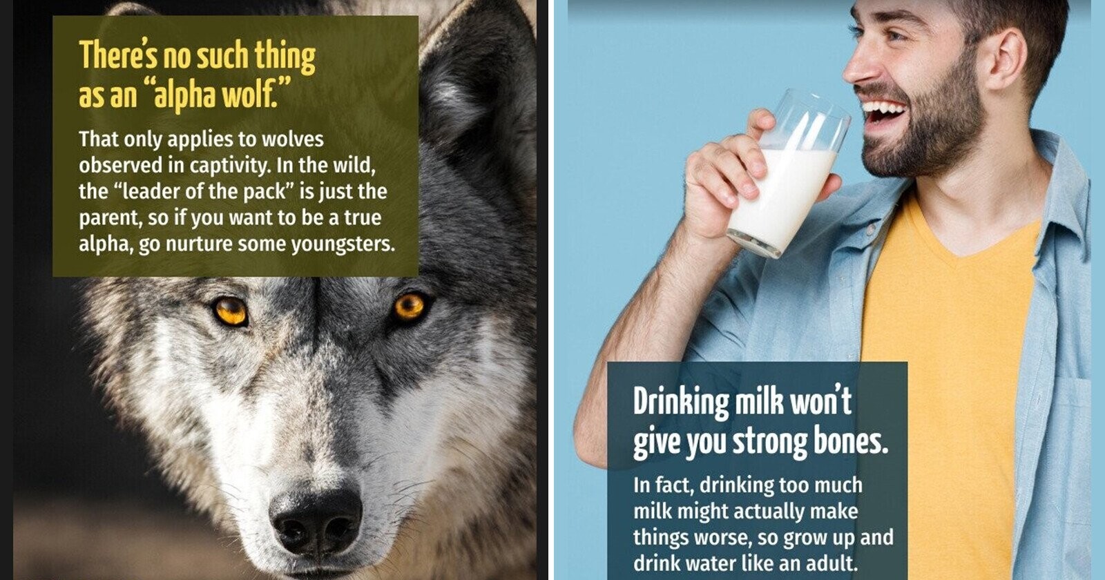 15 Science “Facts” That Aren’t Facts At All | Cracked.com