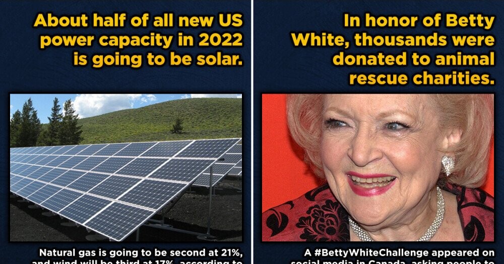 13 Positive Headlines To Remind Us Of The Good Happening Right Now ...