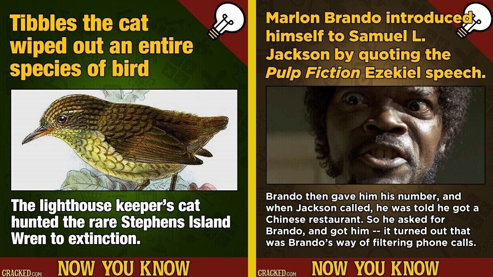 30 General Now-You-Know Facts to Stimulate Your Brains | Cracked.com