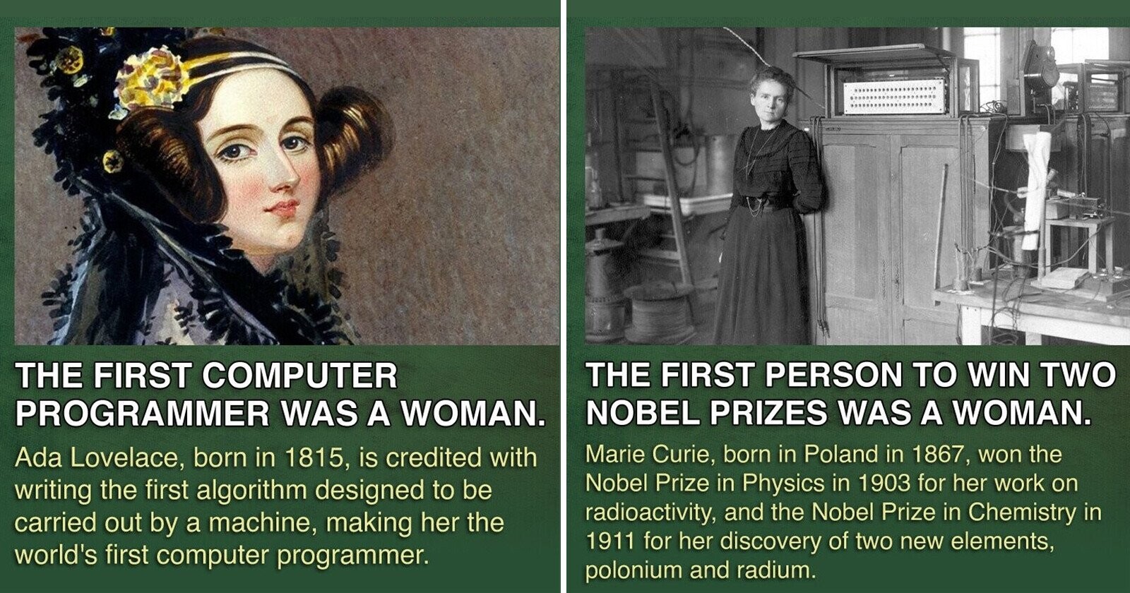 14 Trivia Tidbits We’ve Been Fostering From The Time They Were Factoids ...