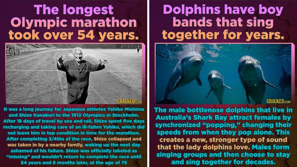 15 Random Facts That Will Fill Your Life With Purpose | Cracked.com