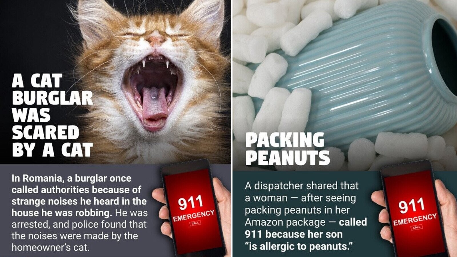 15 Dumb Reasons People Have Called 911 | Cracked.com