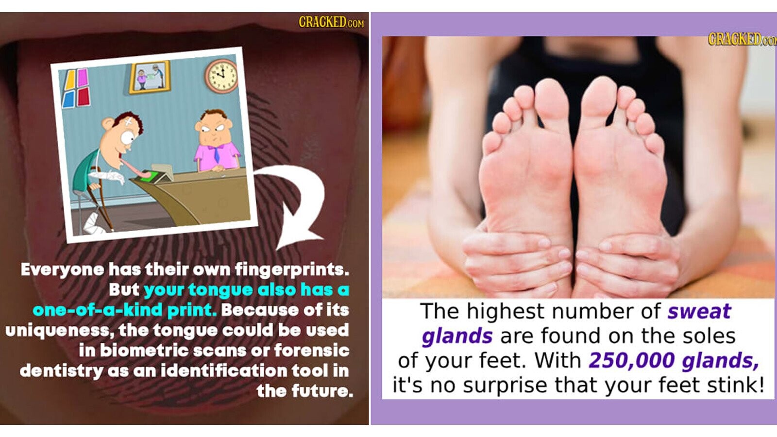 30 Medical Facts You’ll Swear Are B.S. (But Aren’t) | Cracked.com