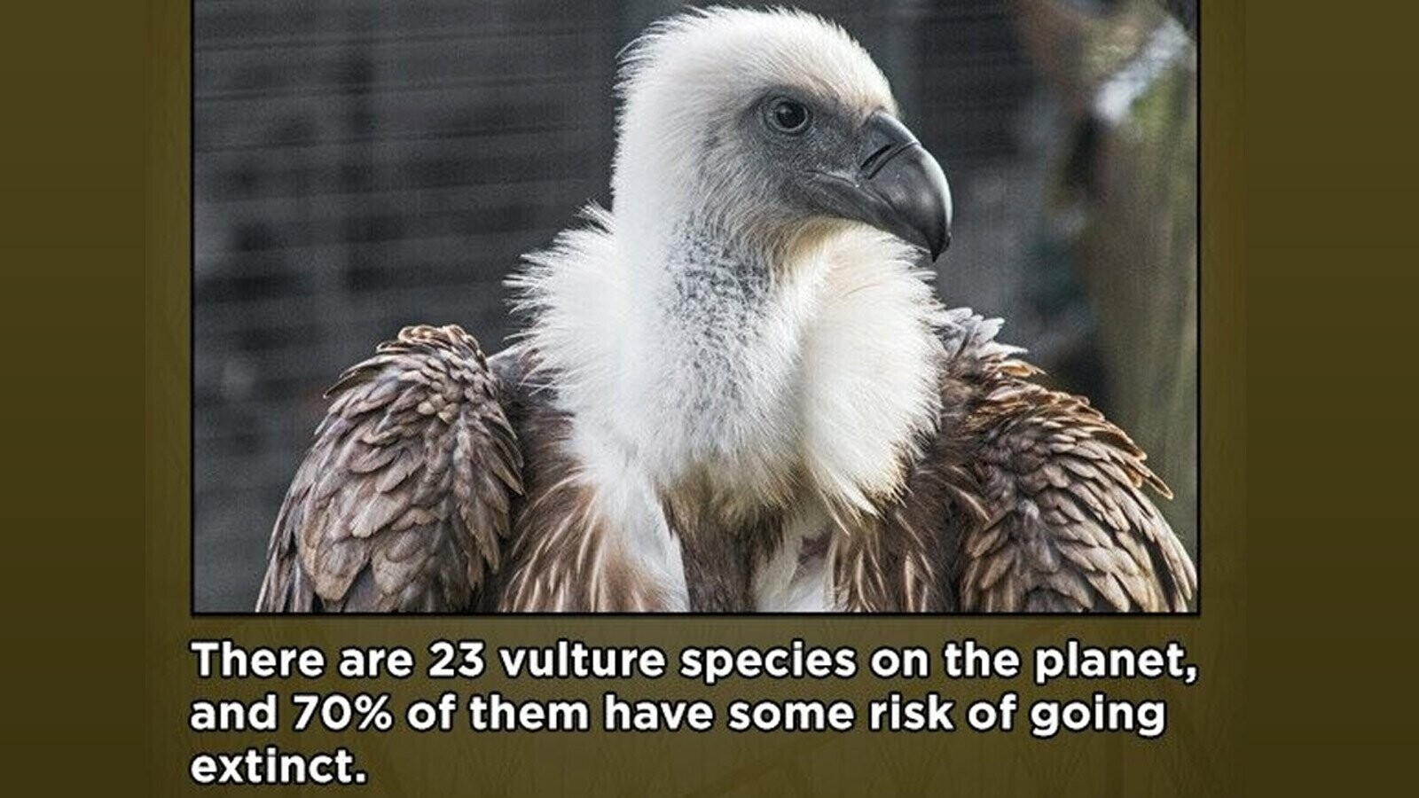 13 Trivia Tidbits To Lob Out At The Bar Tonight | Cracked.com