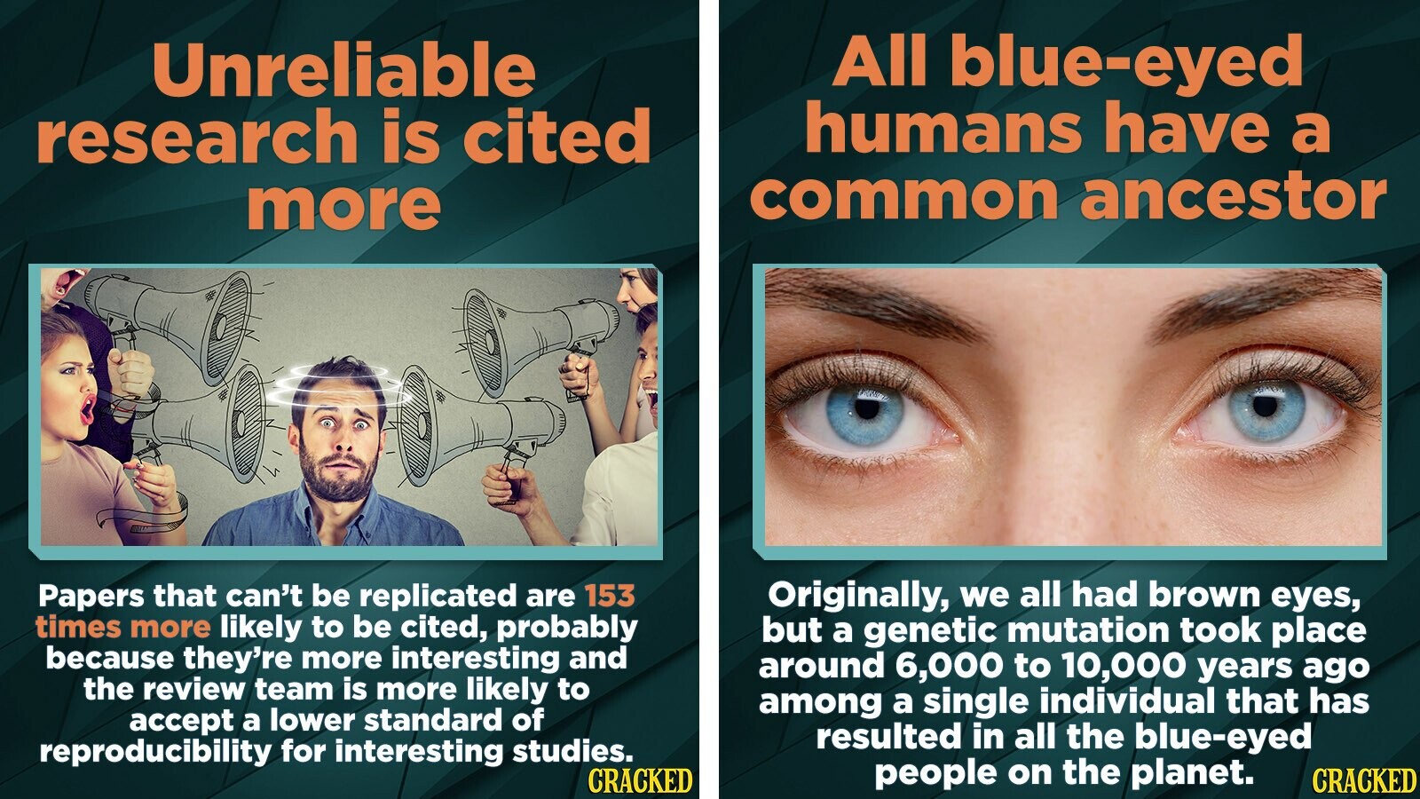 13 Scientific Findings We Had To Share | Cracked.com