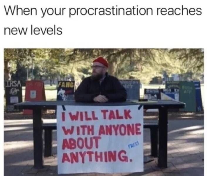 ‘Procrastinating like a pro’: A masterclass in doing literally anything ...