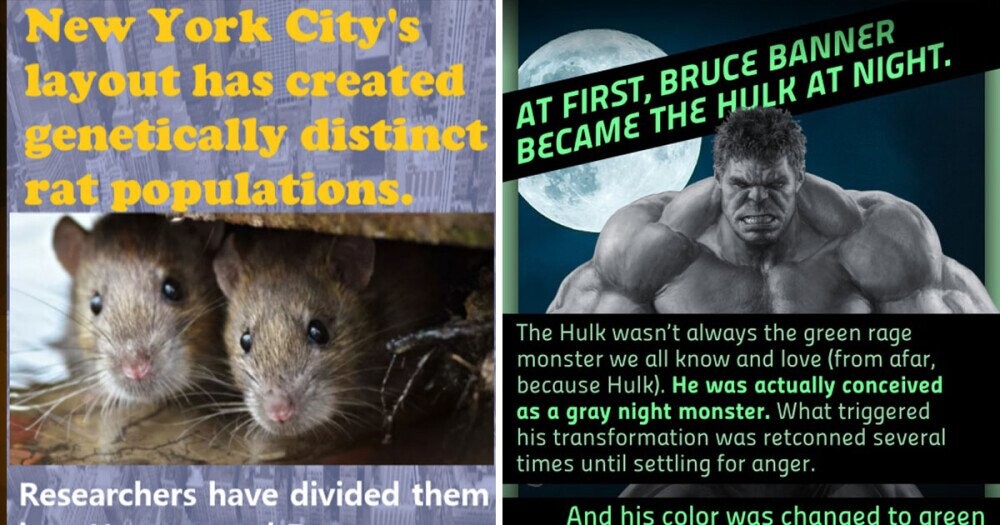 37 Trivia Tidbits for Monday or Any Other Day | Cracked.com