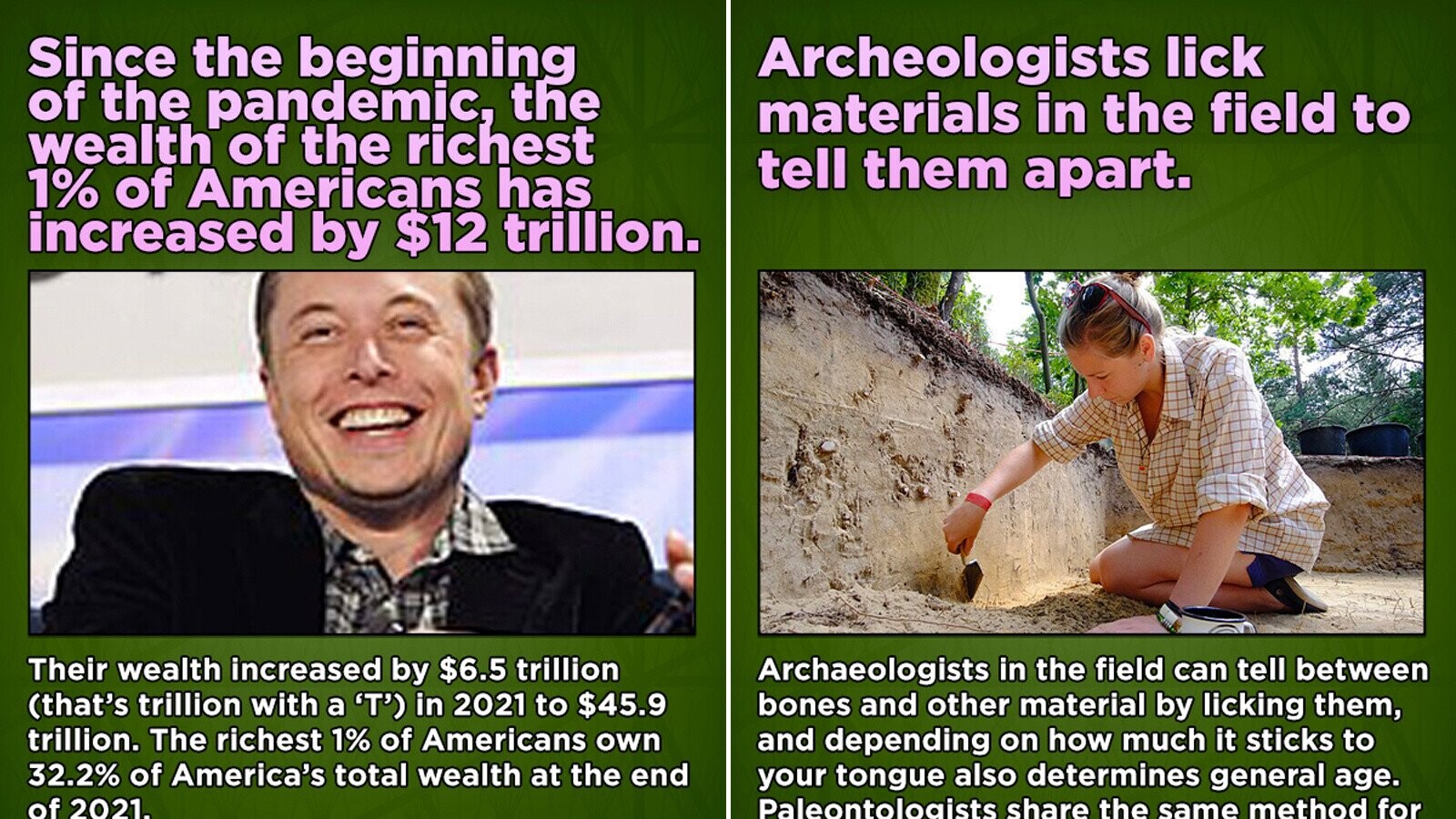 15 Now-You-Know Facts That May Have Slipped Right Past Ya | Cracked.com