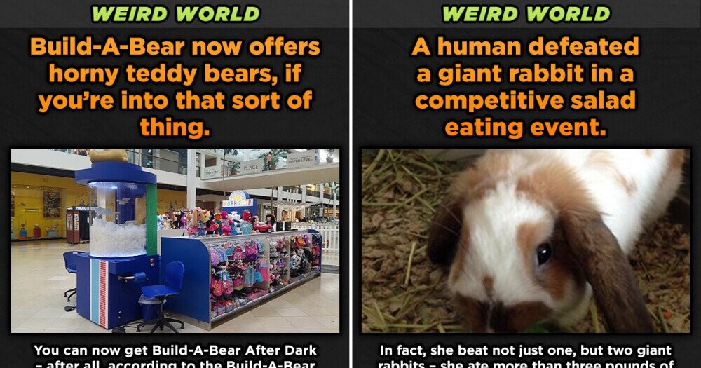 Weird World: 12 Ridiculous Things That Nevertheless Happened | Cracked.com