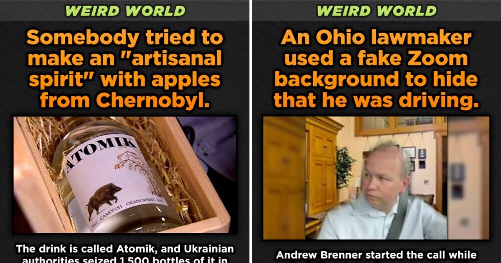 Weird World: 12 Pretty Strange Recent Headlines You Might’ve Missed ...