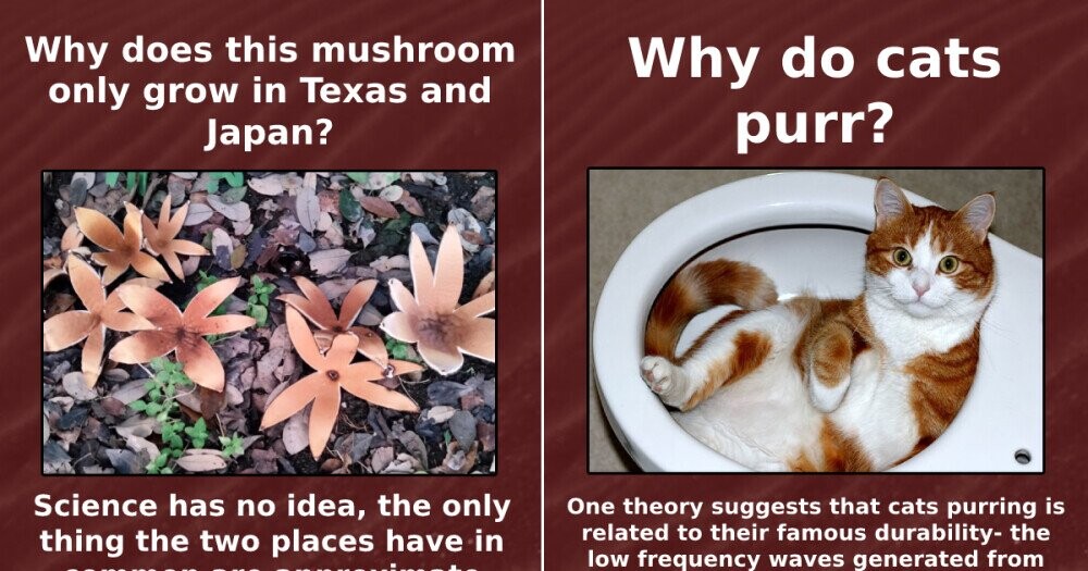 11 Questions Scientists Still Can't Answer | Cracked.com