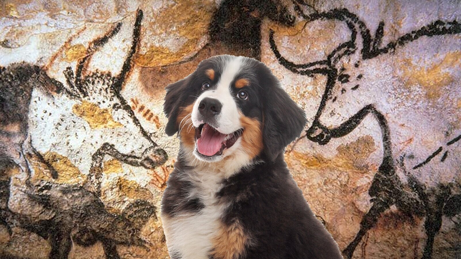 31 Bits of Trivia We Found Tattooed on Our Body, ‘Memento’-Style ...