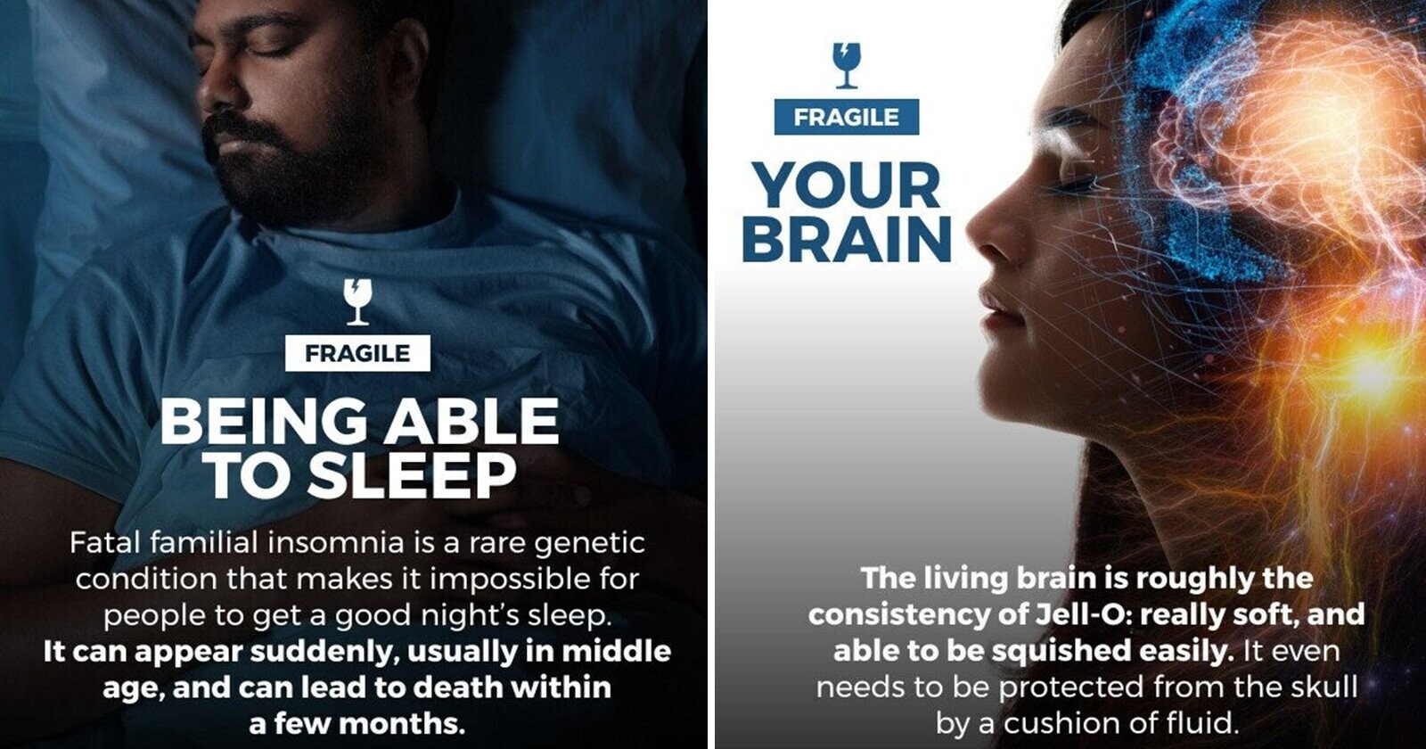 12 Things That Are More Fragile, Rare, Or Precious Than You Think ...