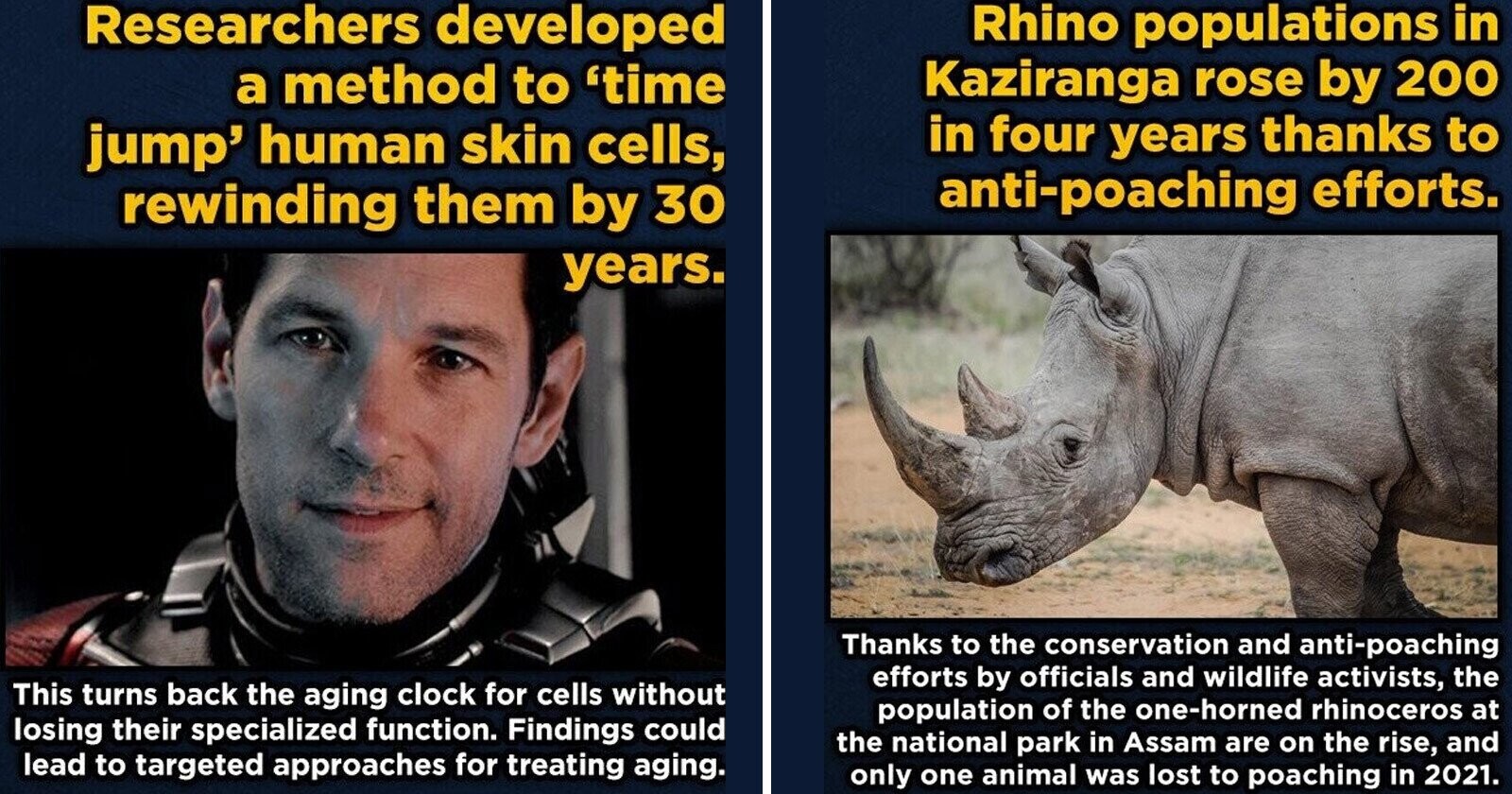 15 Heartwarming News Stories That Lifted Us Up | Cracked.com