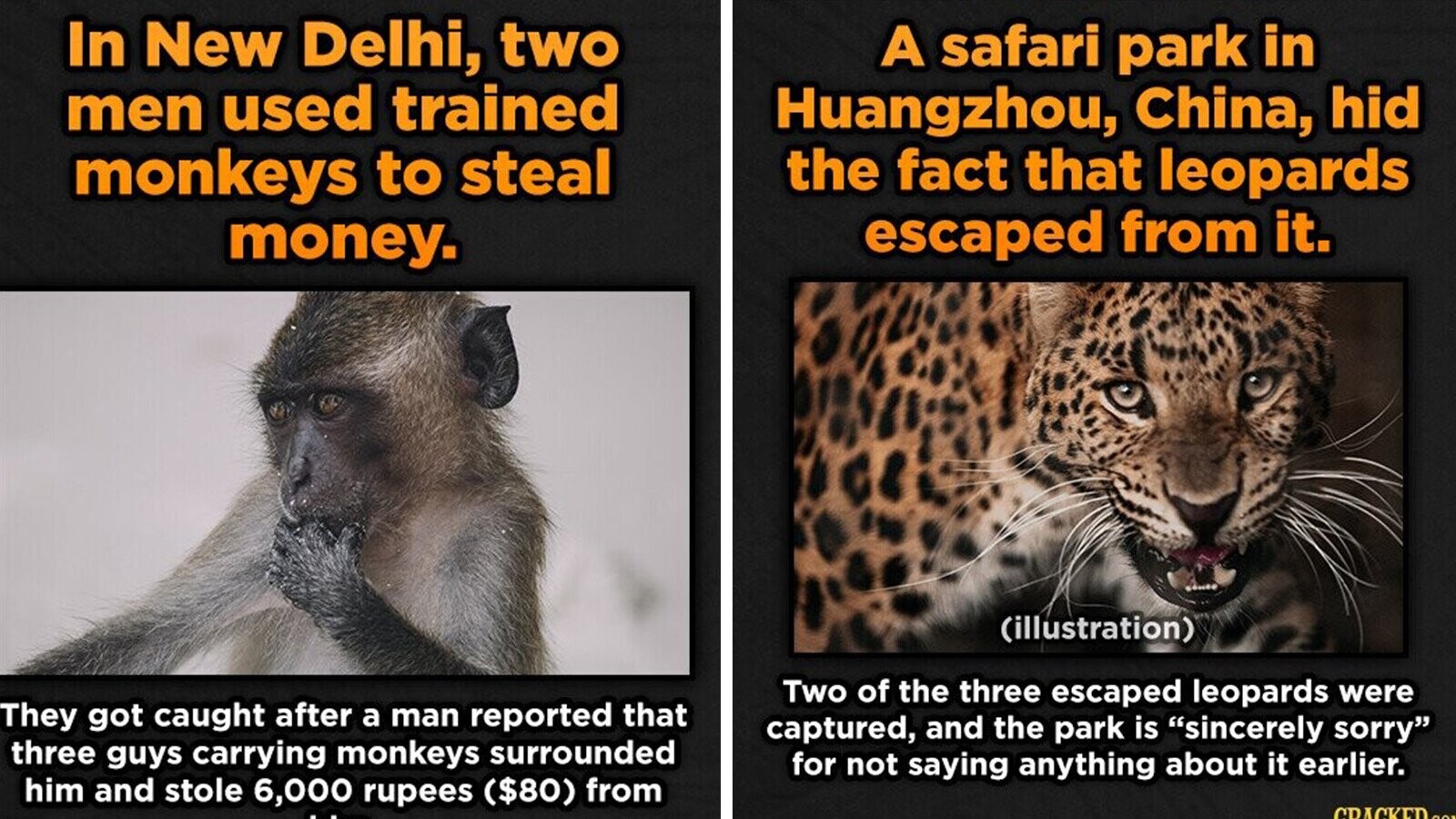 23 Surprising and Strange Pieces of Local News | Cracked.com