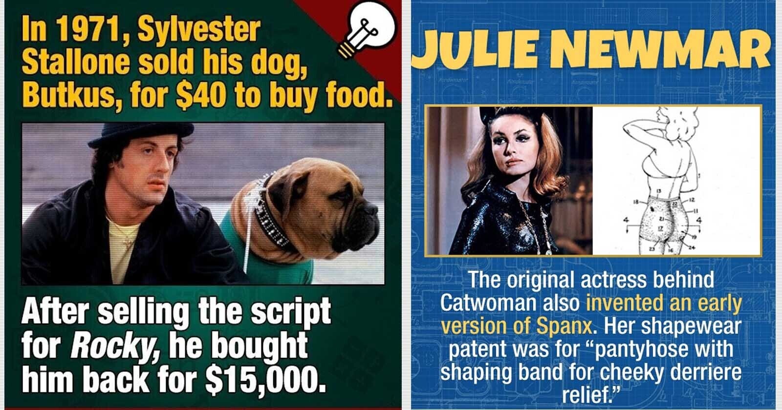 40 Random Bits of Pop-Culture Trivia Monotonously Droned Into Our Ears ...
