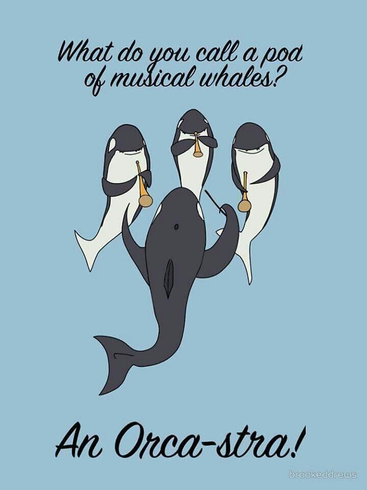 15 Easy Jokes for the Next Time Someone Asks You to Be Funny | Cracked.com