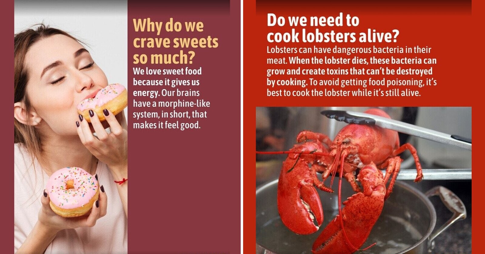 The Scientific Reasons Behind 15 Cooking Techniques And Culinary ...