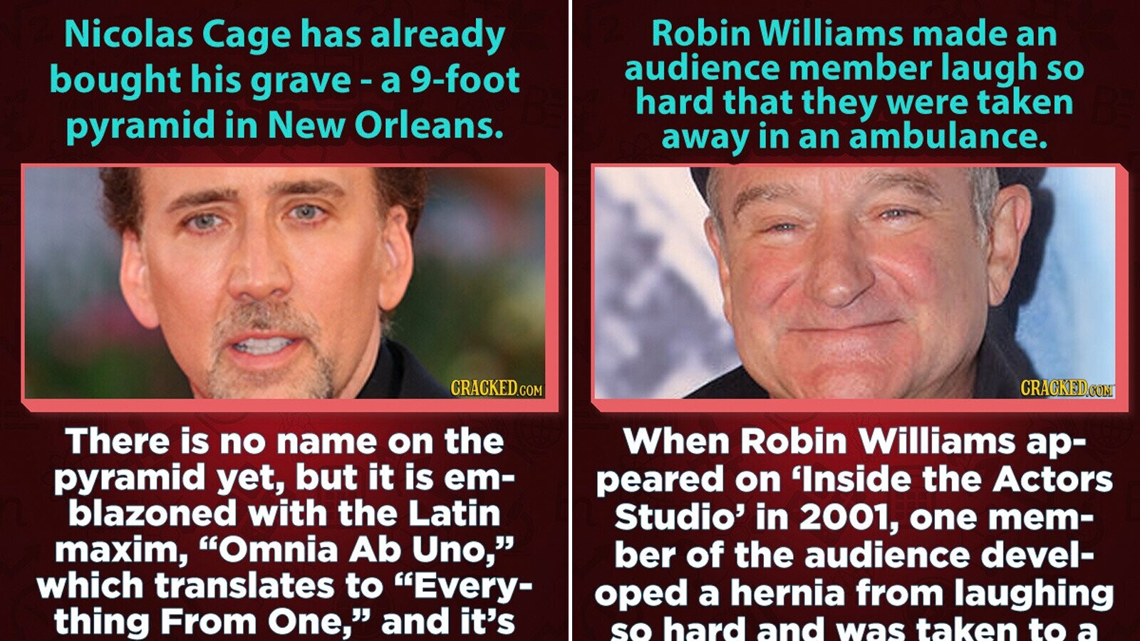 20 Immutable Facts That Really Traversed Our Roundabouts | Cracked.com