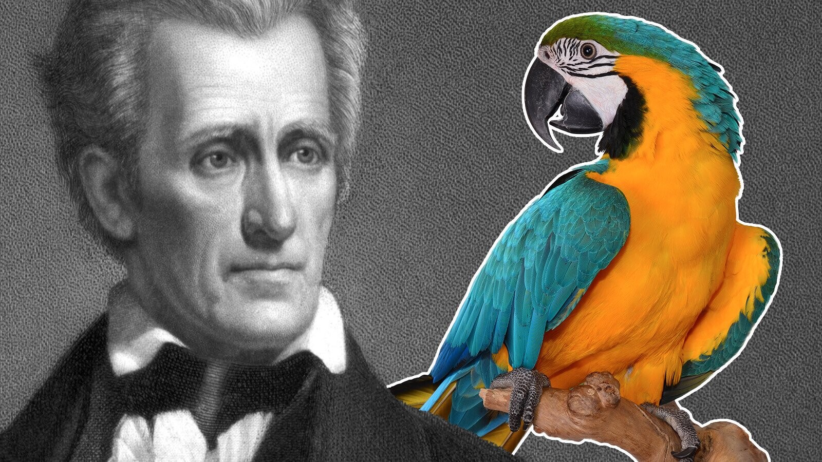 28 Fascinating Historical Tidbits Almost Buried by the Sands of Time | Cracked.com