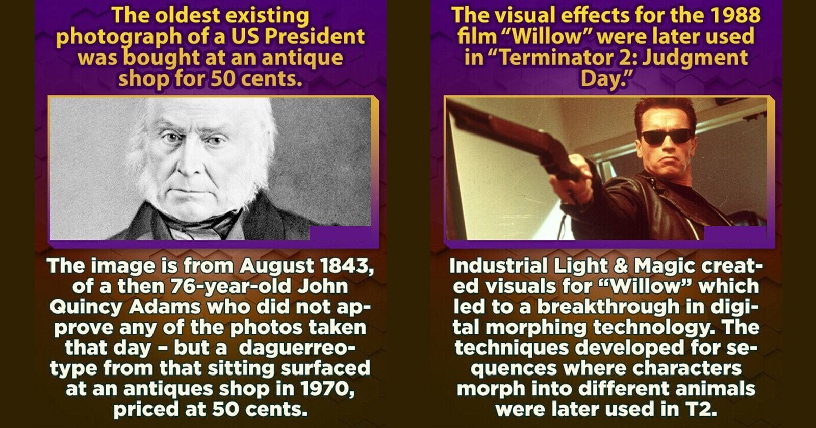 40 Random Bits of Trivia That Are Like Botox for the Brain | Cracked.com