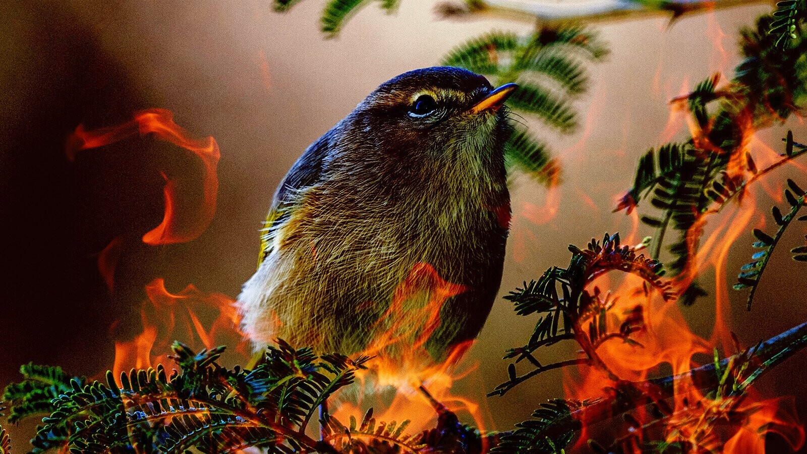 Roasting 12 Innocent Woodland Creatures Into Oblivion | Cracked.com