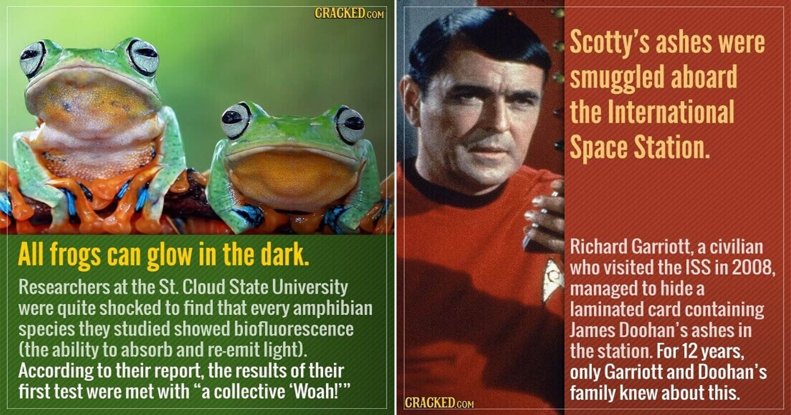 16 Random Trivia Tidbits For The Ole' Noggin | Cracked.com